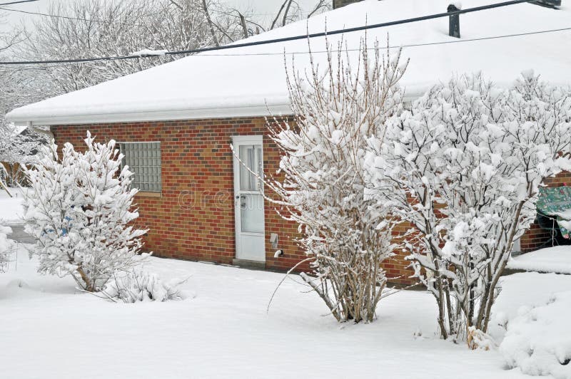Backyard and New Fallen Snow Stock Photo - Image of tree, home: 37425406