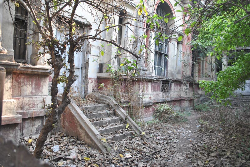 Dirty Backyard Stock Photos - Download 2,188 Royalty Free Photos