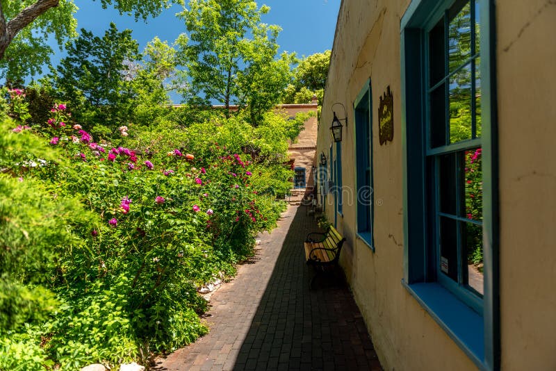 Backyard of an Old House with Blue Windows and a Bench in Front of a ...