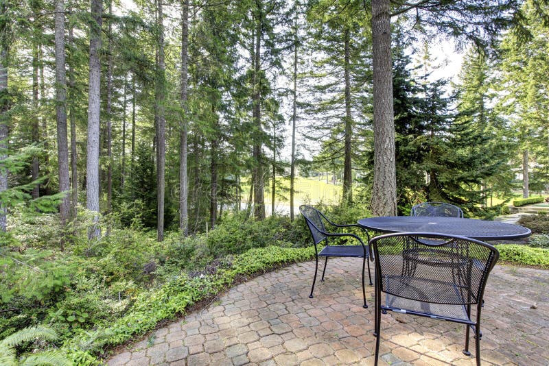 Backyard with Pine Trees and Metal Table with Chairs. Stock Image ...