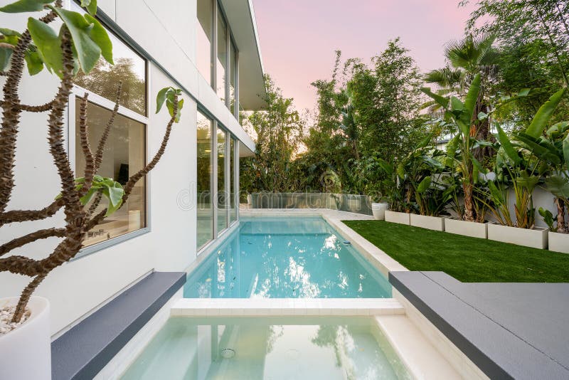 Backyard Pool with Surrounding Greenery and a Tree Stock Photo - Image ...