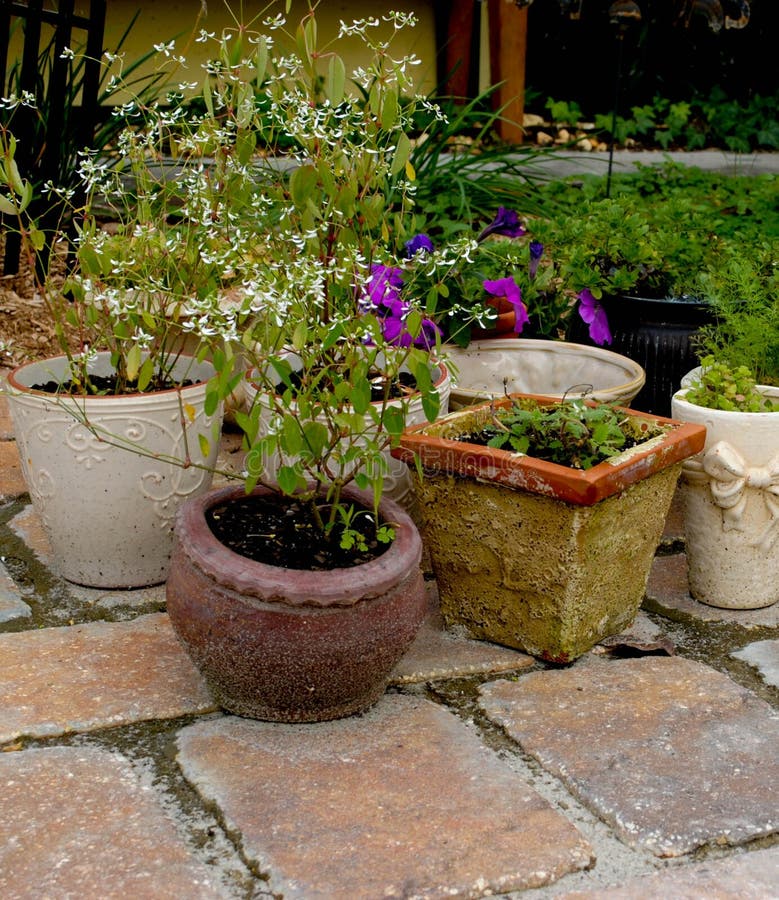 Backyard potted plants stock photo. Image of patio, outdoor - 49235706