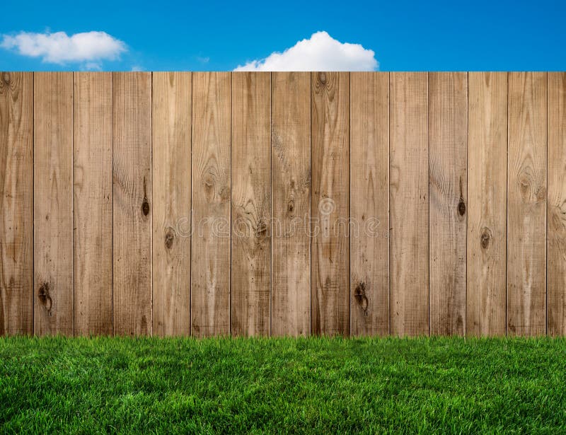 Backyard in summer stock image. Image of garden, yard - 41787287