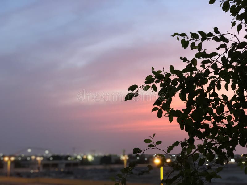 Backyard Sunset stock photo. Image of relaxation, suburban - 31718828