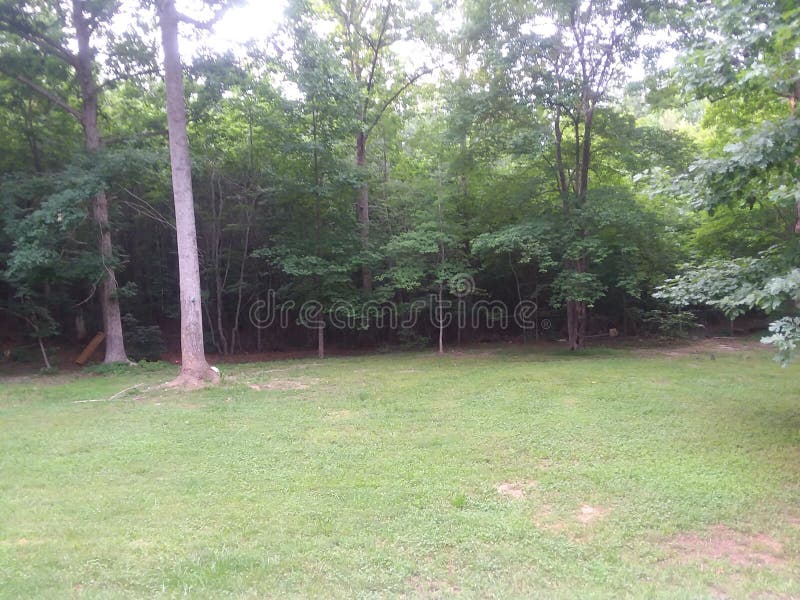 Backyard view stock photo. Image of north, backyard, carolina - 94074222