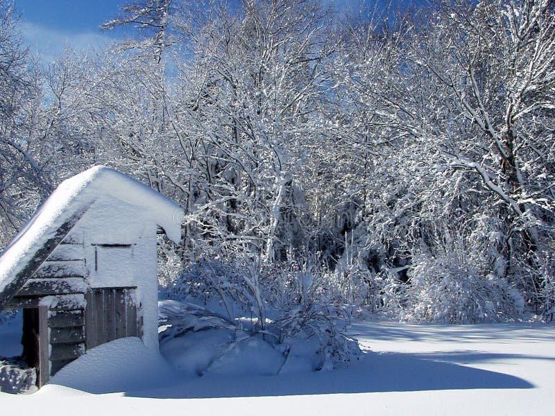 Backyard in Winter stock photo. Image of holiday, winter - 1025622