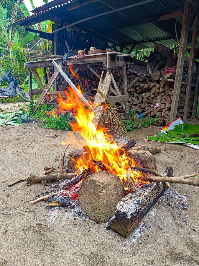 Backyard with Woods on Fire Stock Photo - Image of person, tree: 268697758