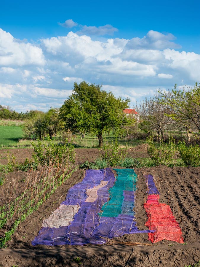 Gardens in Spring, Fruit Trees and Covered Crops for Protection with ...