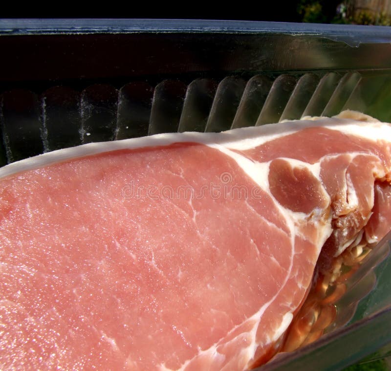 Pig and Bacon stock photo. Image of flesh, animal, concept - 2693260
