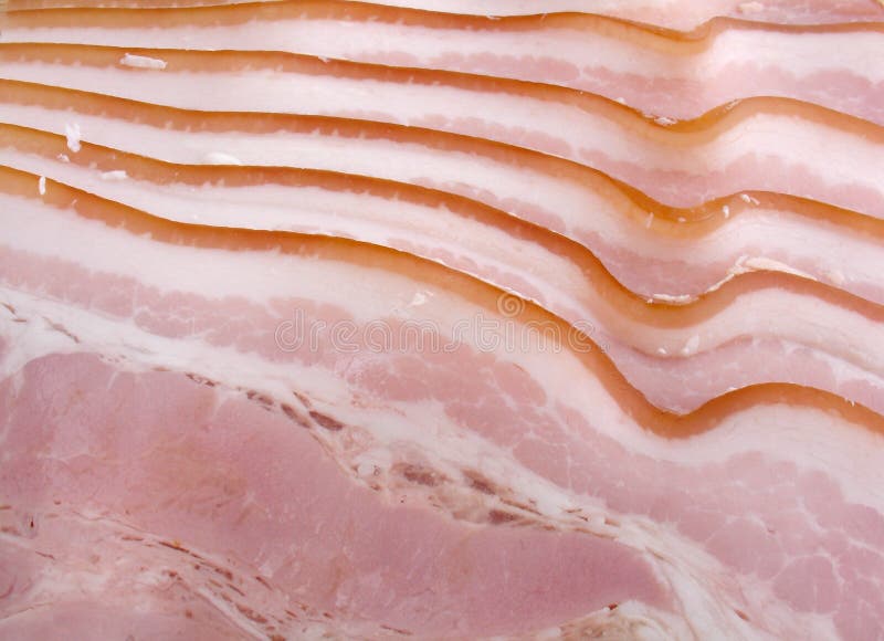 Pitiful stock photo. Image of depressed, farm, pork, agriculture - 539226