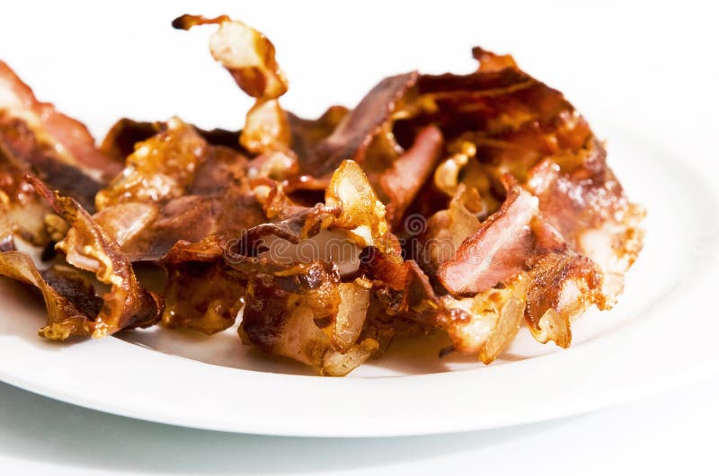 Maggots on pork chop stock photo. Image of medical, decompose - 51401066