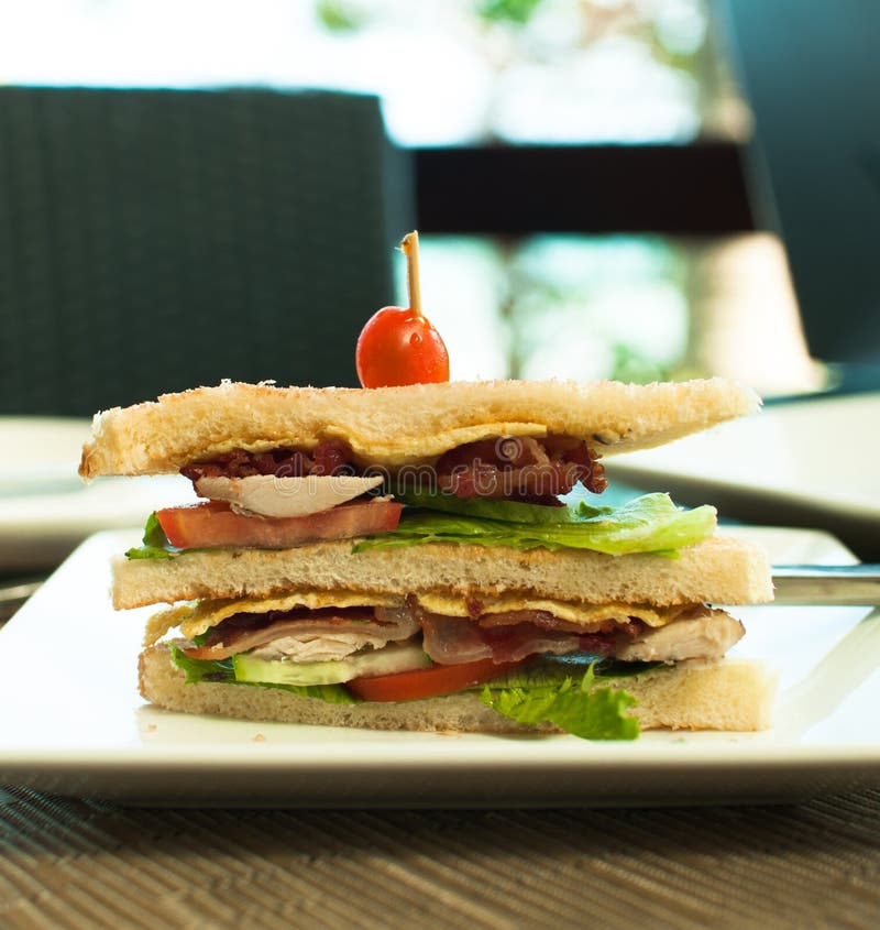 Two Club Sandwich with Garnish Stock Photo - Image of sandwich, meal ...