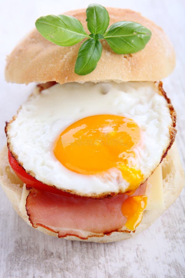 Bacon and egg bun. stock photo. Image of crusty, closeup - 59683080