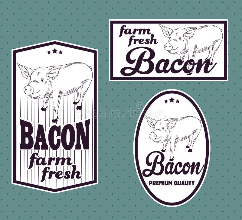 Bacon vintage labels stock vector. Illustration of symbol - 43883332