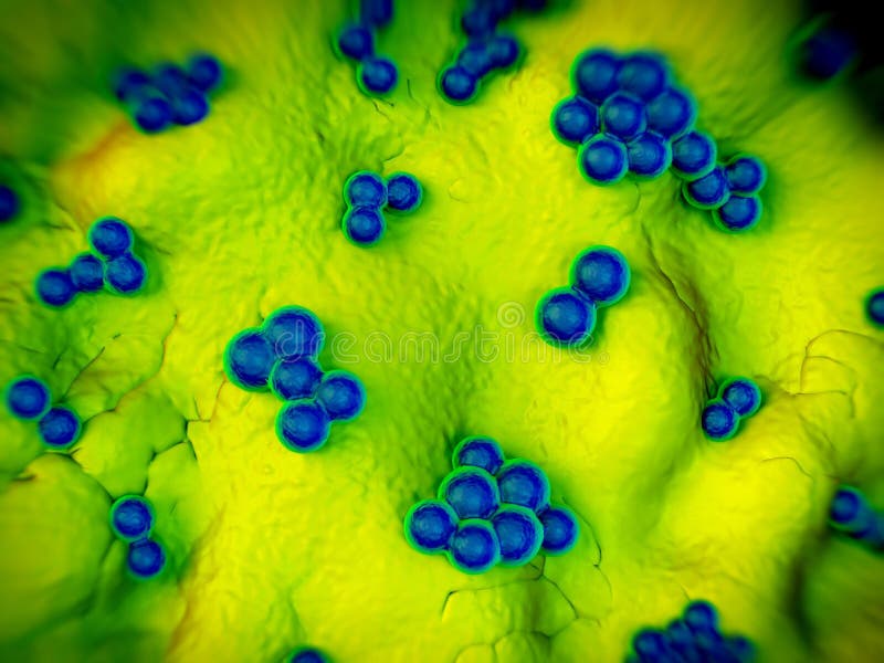 Bactérias do Superbug ilustração stock. Ilustração de patologia - 77284606