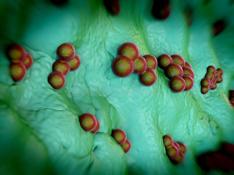 Bactérias do Superbug ilustração stock. Ilustração de microrganismo ...