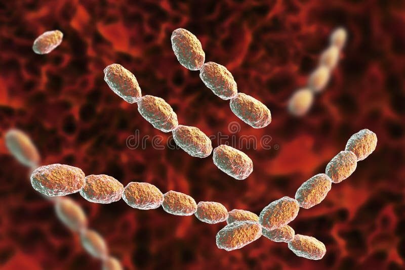 Bactéries De Ducreyi De Haemophilus Illustration Stock - Illustration ...