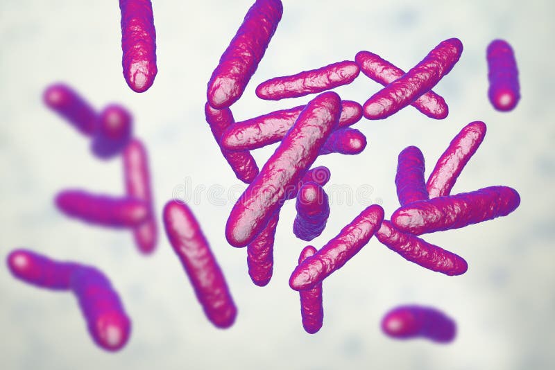 Bactéries Probiotic, Flore Microbienne Intestinale Normale Illustration ...