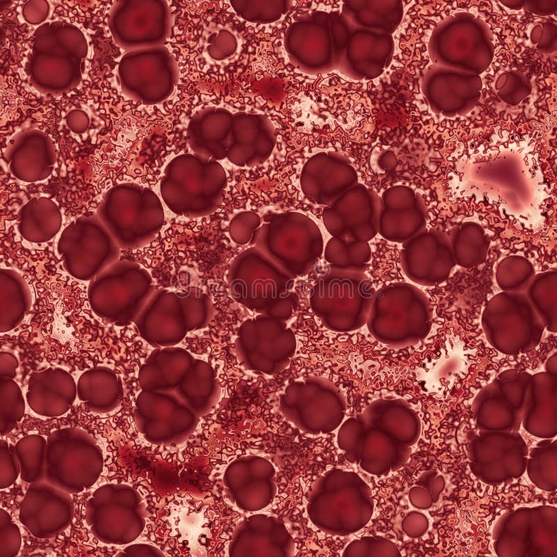 Bacteriën onder microscoop stock foto. Image of biologie - 57389074