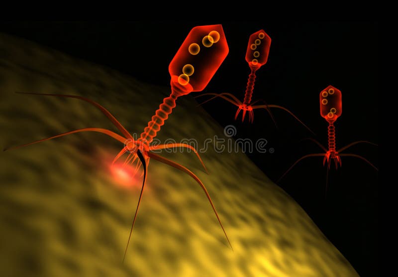Imagem Da Microscopia De Elétron Do Vírus Do Bacteriófago Ilustração ...