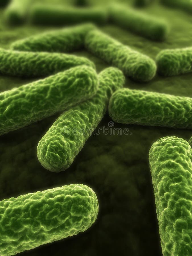 Bacteria stock illustration. Illustration of medical - 11953596