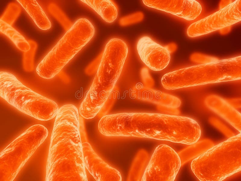 Bacteria stock illustration. Illustration of microscopic - 13325066