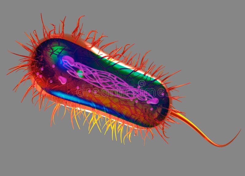 Bacteria 3d render stock illustration. Illustration of germ - 20260361