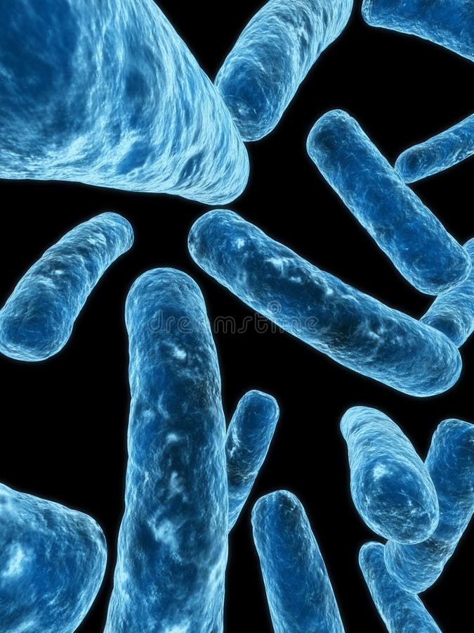 Blue Bacteria Cells Science Illustration Stock Illustration ...