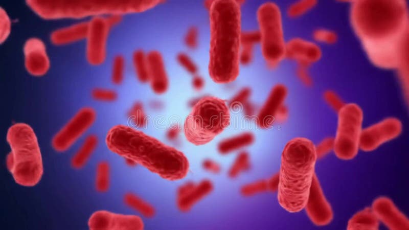 Bacteria Animation Red Rod Shaped Cells Floating on Blue Gradient ...