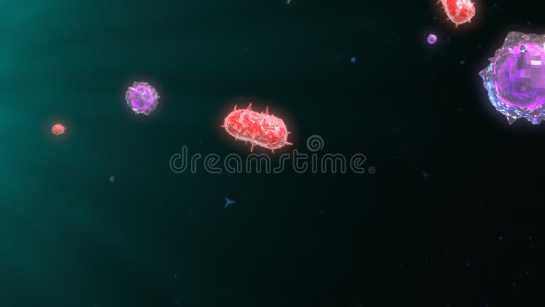 Bacteria Attacking the Immune System Stock Illustration - Illustration ...