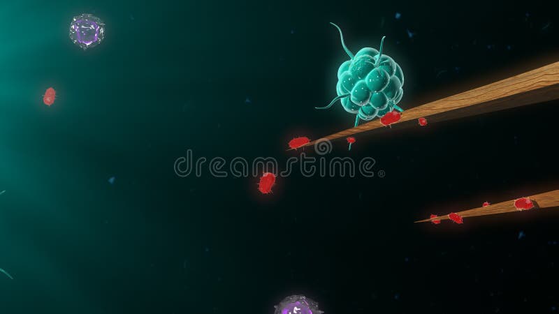 Bacteria Attacking the Immune System Stock Illustration - Illustration ...