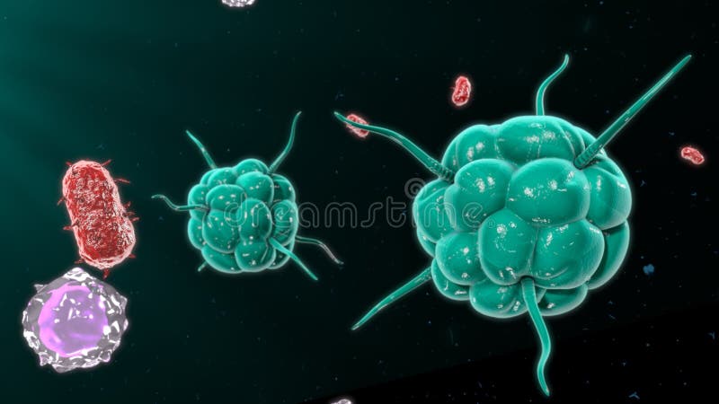 Bacteria Attacking Cells