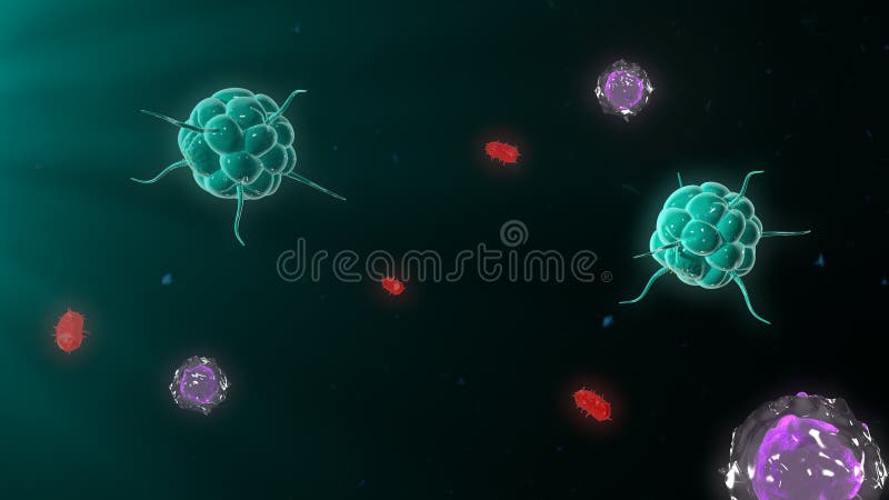 Bacteria Attacking the Immune System Stock Illustration - Illustration ...