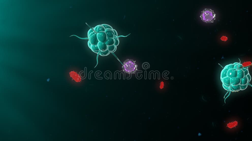 Bacteria Attacking the Immune System Stock Illustration - Illustration ...