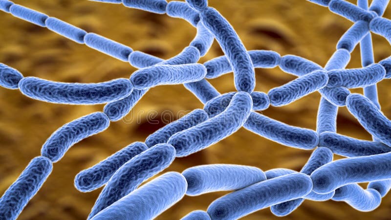 Bacteria Bacillus Anthracis Stock Illustration - Illustration of ...
