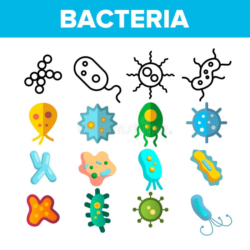 Bacteria, Bacterial Cells Vector Thin Line Icons Set Stock Vector ...