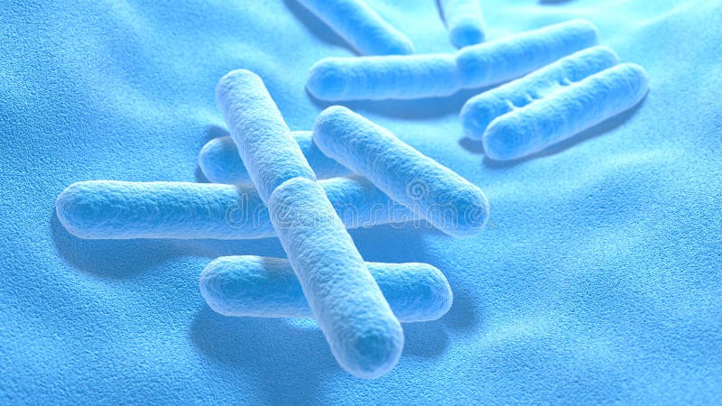 Bacteria Bacterium Blue Color Prokaryotic Microorganisms Stock Illustration Illustration Of