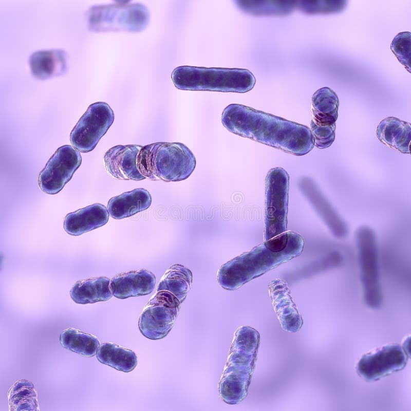 Bacteria Bacteroides, 3D Illustration Stock Illustration - Illustration ...