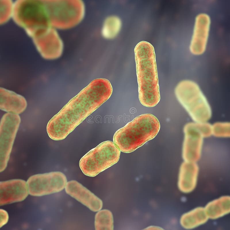 Bacteria Bacteroides Fragilis Stock Illustration - Illustration of ...