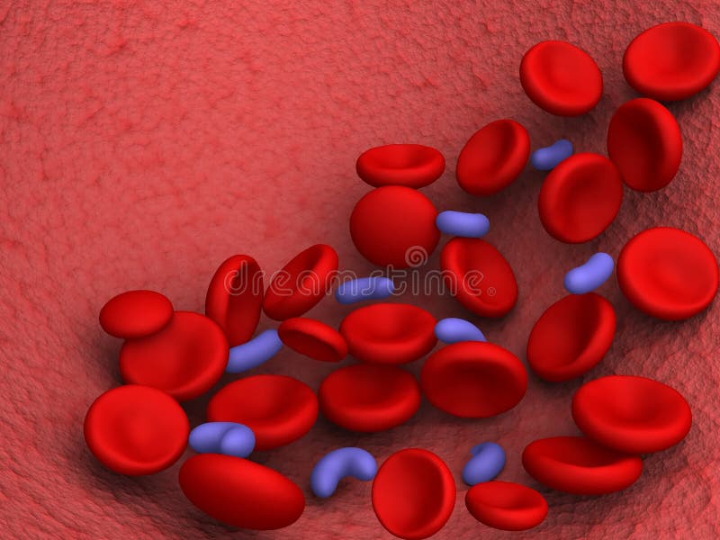 Bacteria in blood stock illustration. Illustration of medical - 10104600