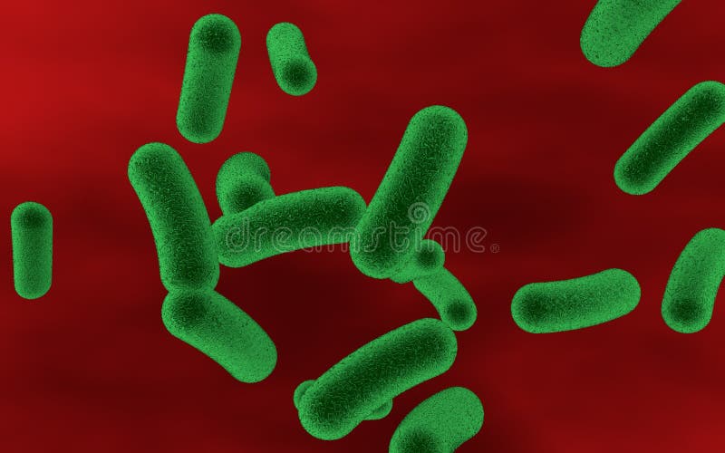 Bacteria in Blood, Bacteriemia Stock Illustration - Illustration of ...