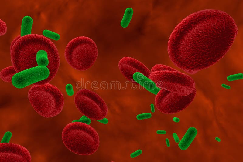 Bacteria in Blood, Bacteriemia Stock Illustration - Illustration of ...