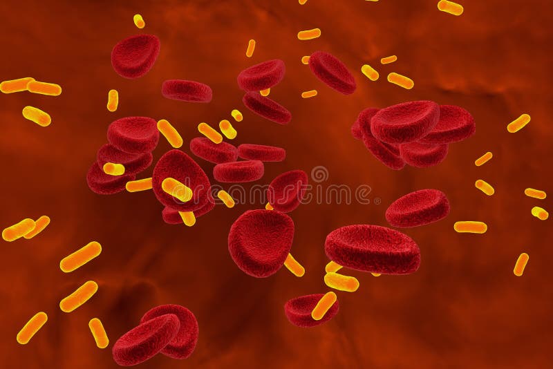 Bacteria in Blood, Bacteriemia Stock Illustration - Illustration of ...