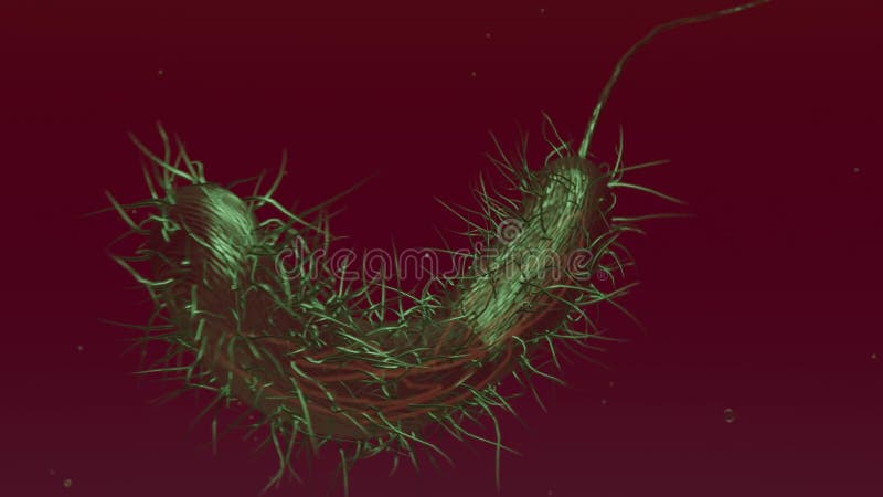 Bacteria Computer Animation Stock Footage - Video of molecule, antibody ...