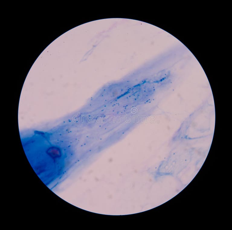 Method Pictogram Stock Photos - Free & Royalty-Free Stock Photos from ...