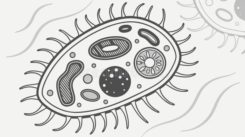 Bacteria Cell Design Element for Science and Microbiology Themes Vector ...