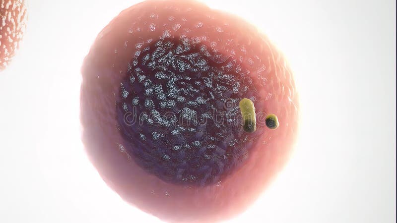 Bacteria Cell Destruction 3D Illustration Stock Illustration ...