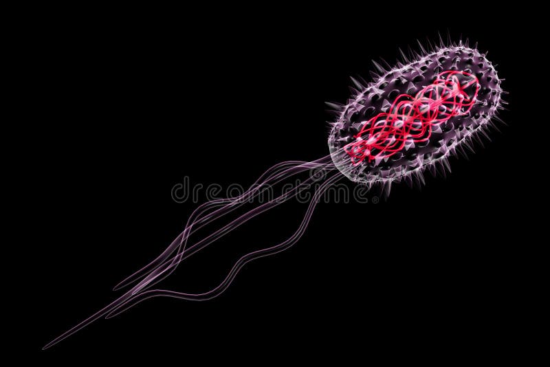 Microphyte Stock Illustrations – 3 Microphyte Stock Illustrations ...