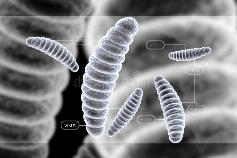 Bacteria cell stock illustration. Illustration of diseases - 35498814