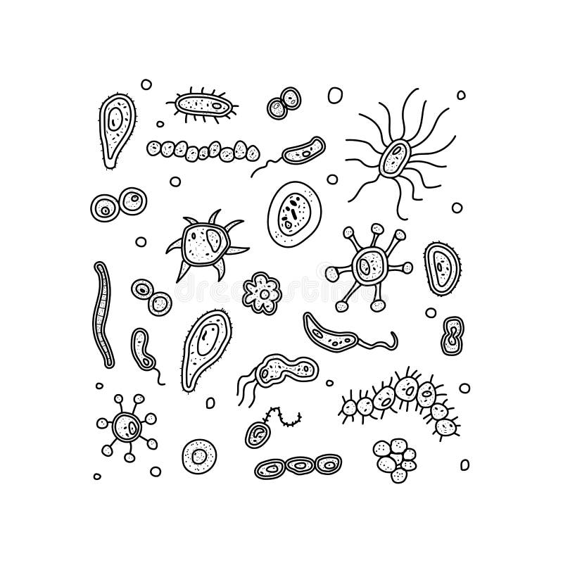 Bacteria Cells Set Composition. Vector Illustration. Stock Illustration ...